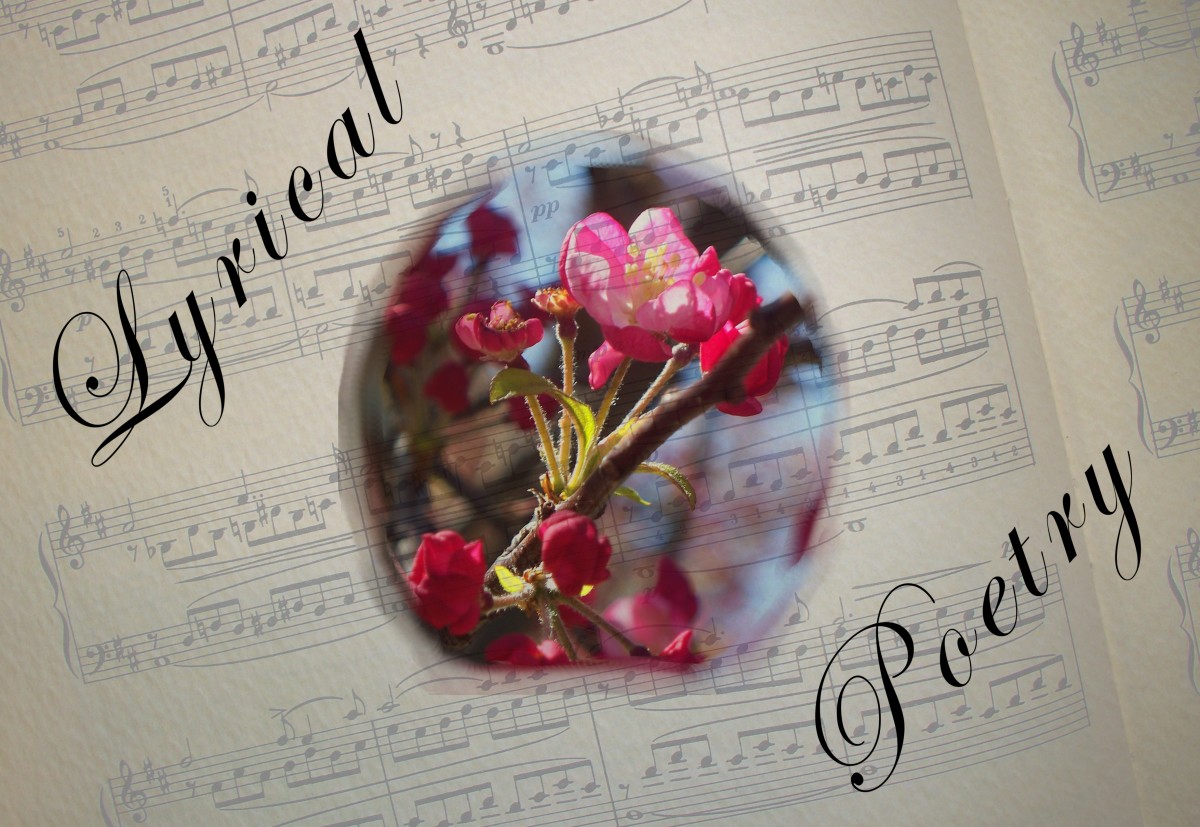 How to Write Lyric Poetry - HobbyLark