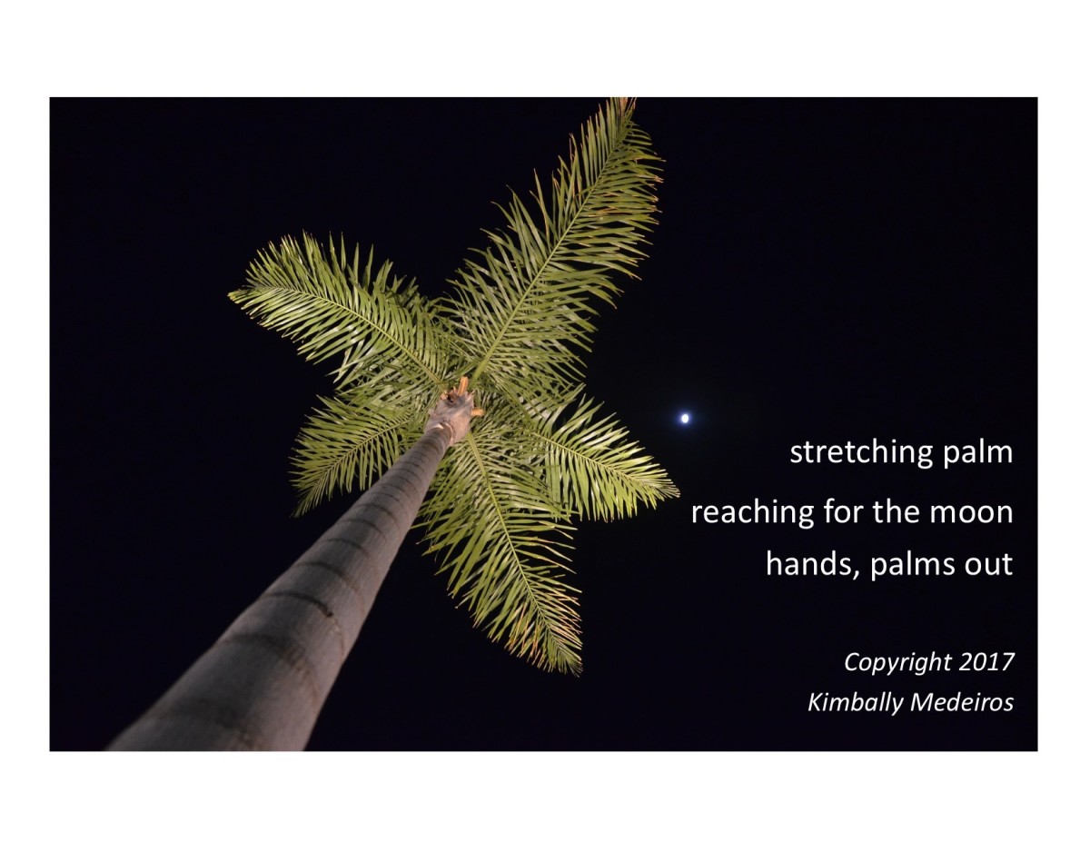 Discover Photo Poetry: How to Write for Photos - HobbyLark