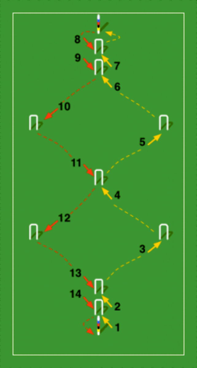 How to Set Up a Croquet Court in Your Backyard - HobbyLark
