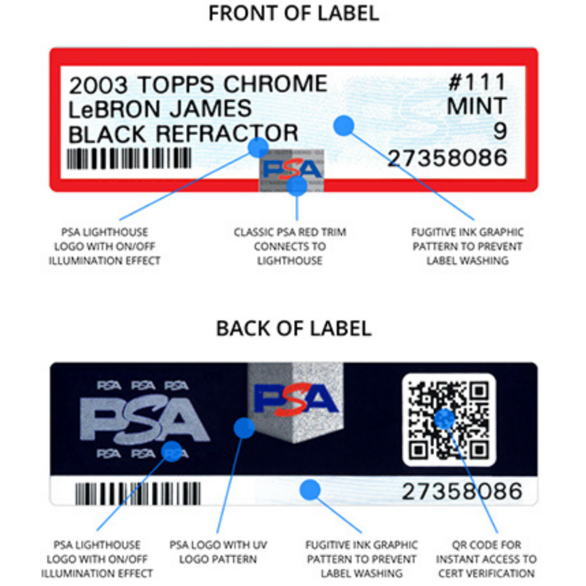 Spotting Counterfeit PSA Slabs: Simple Tricks to Help You Avoid Fakes ...
