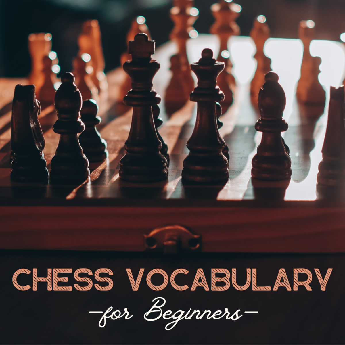 Chess Terms Explained for Beginners - HobbyLark