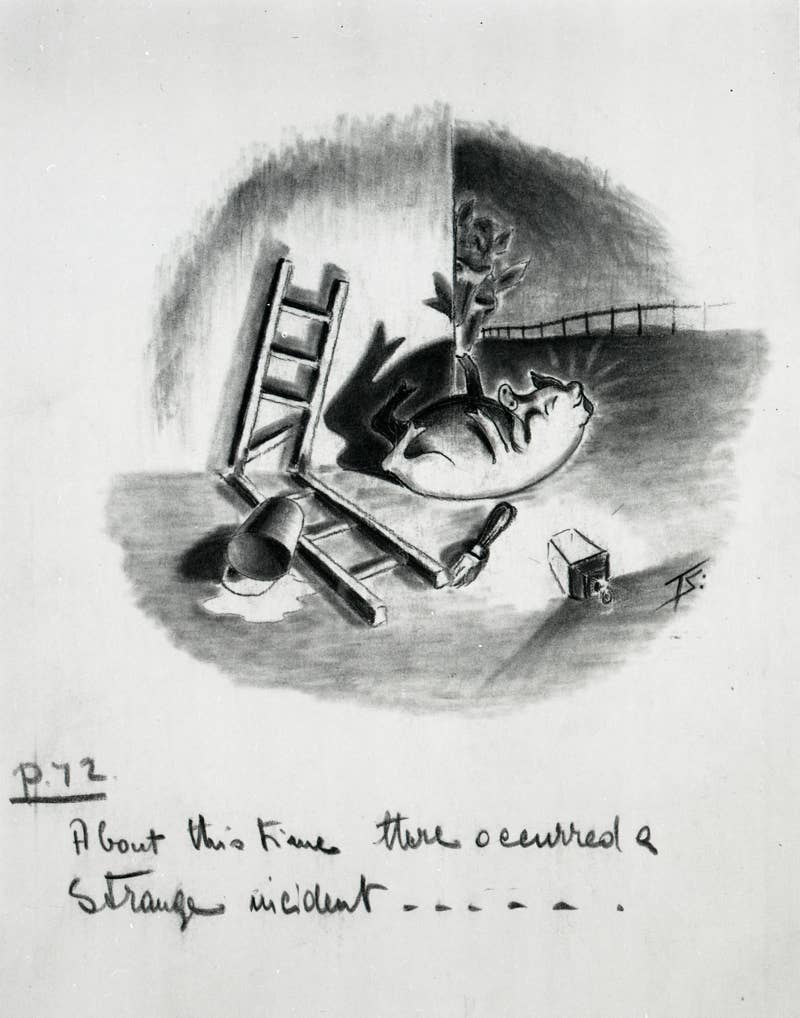 How to Write an Animal Character for a Fiction Story - HobbyLark