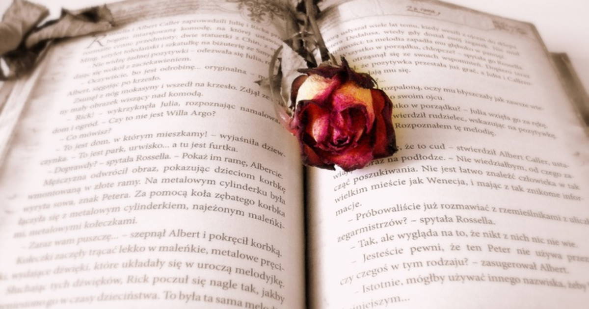 Types of Writers: Pantsers vs. Plotters (Which Are You?) - HobbyLark