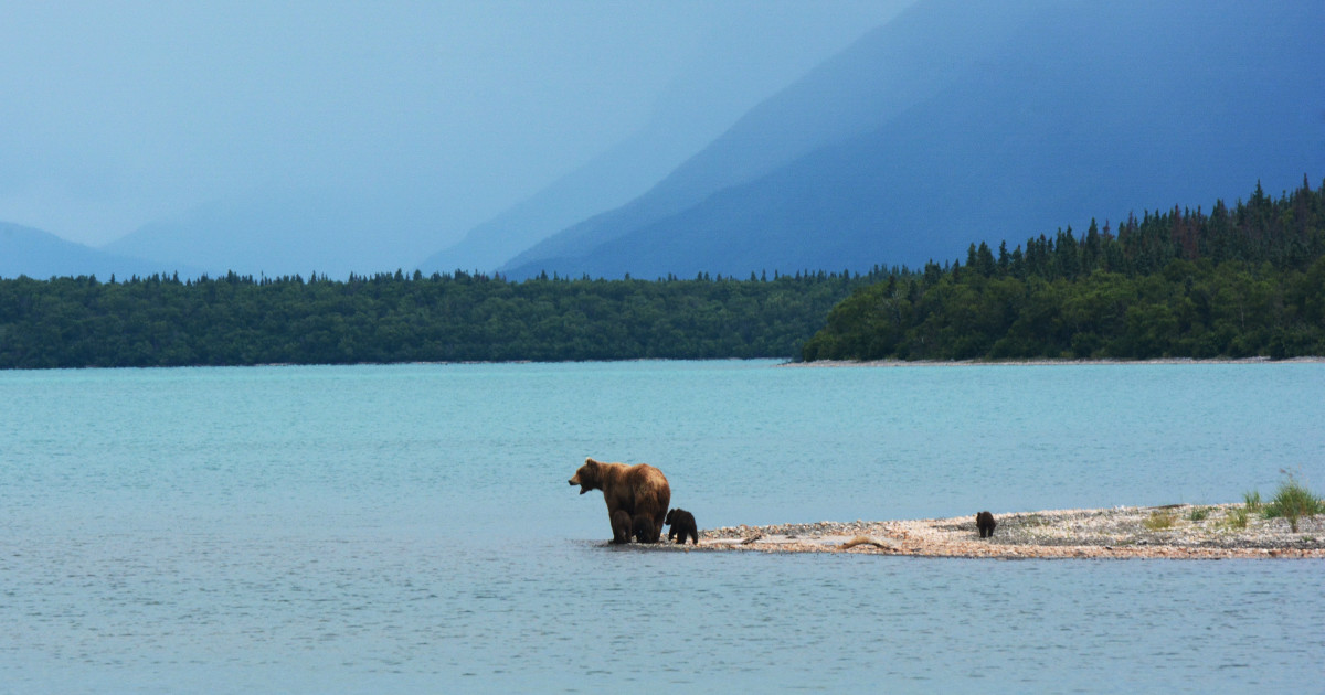 Official Alaska State Medallions From the Alaska Mint - HobbyLark