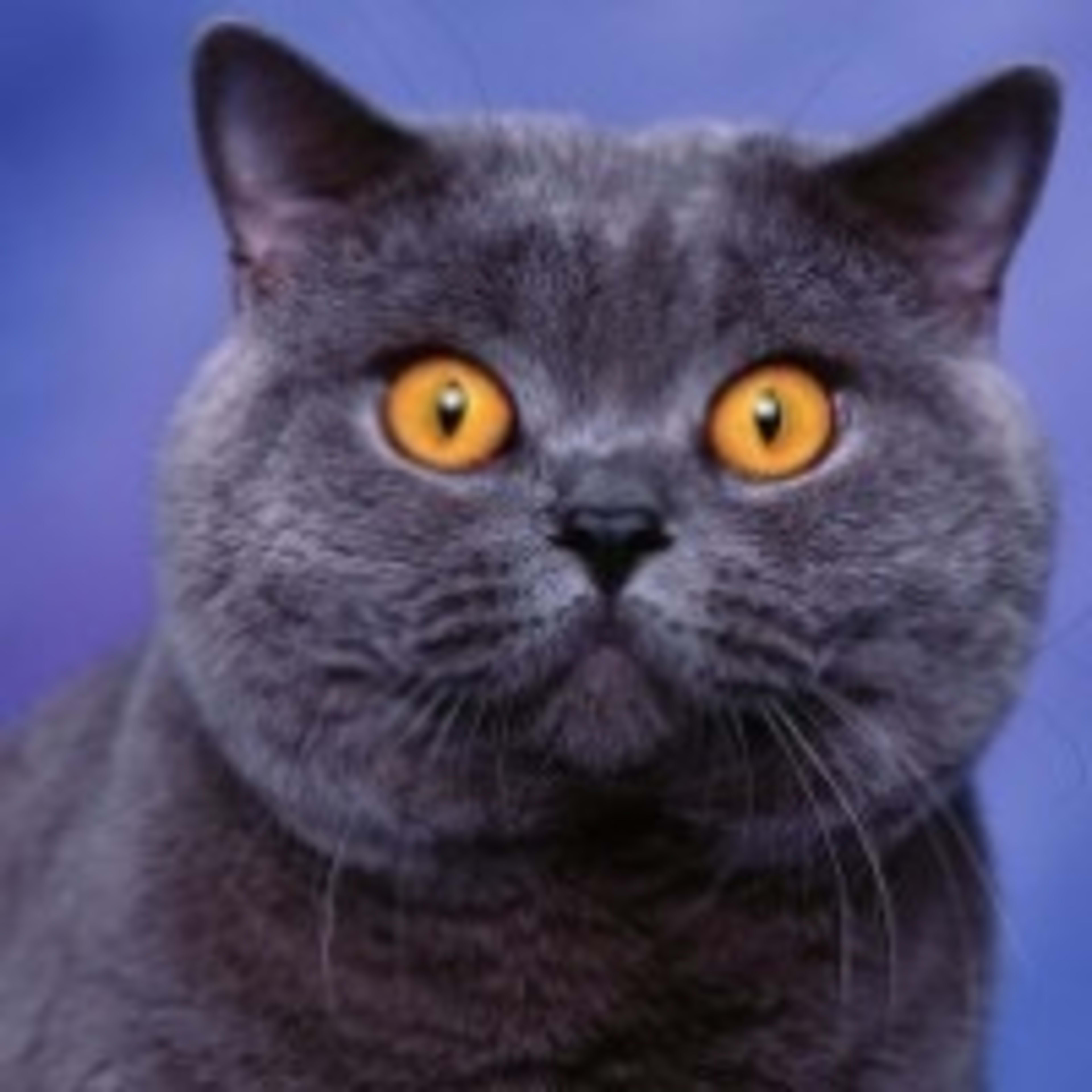 Lists of Pictionary Words: Movies, Ideas for Kids, and More - HobbyLark