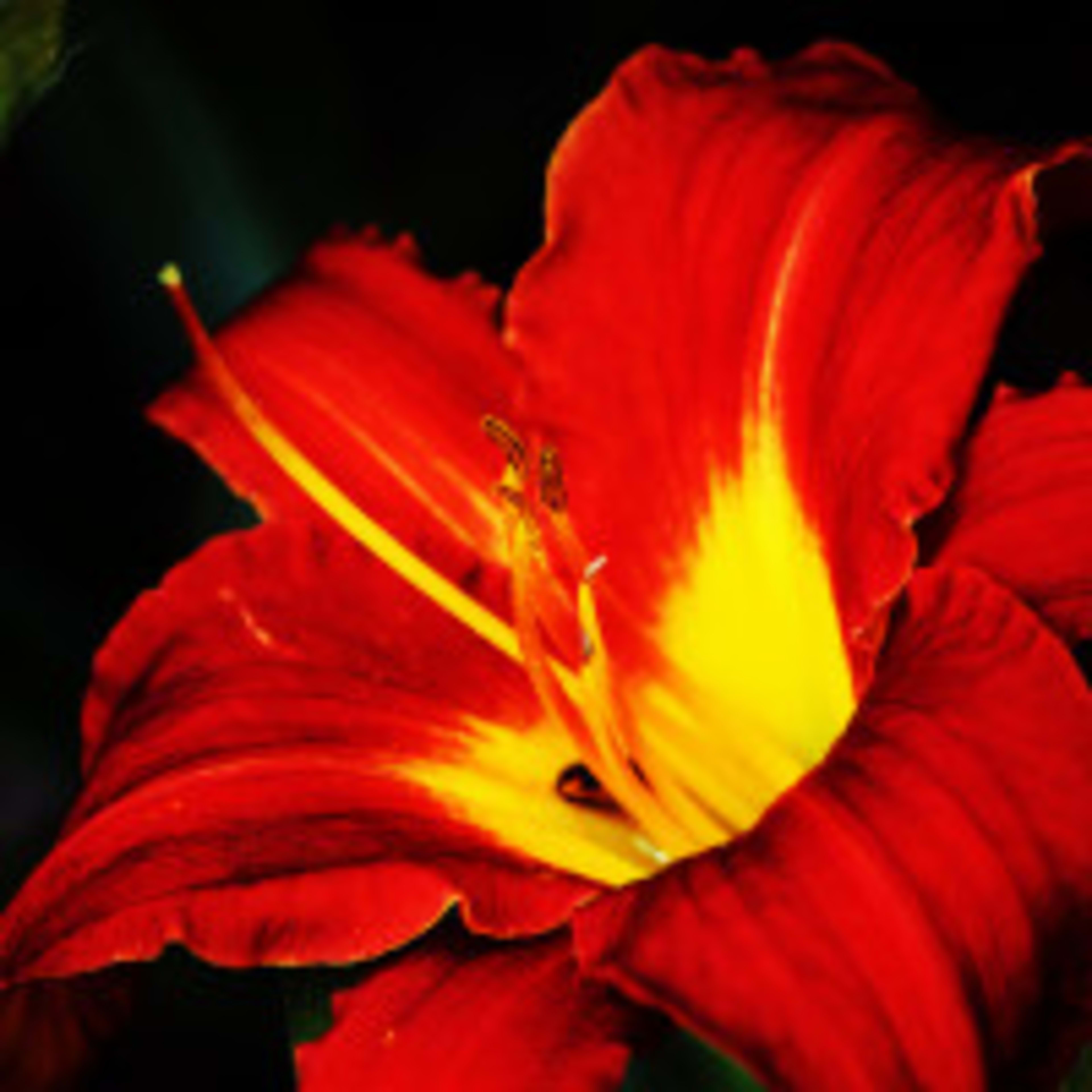 9 Best and Most Powerful Nerf Guns (With Pros and Cons) - HobbyLark