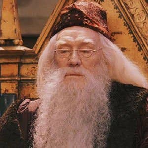 Harry Potter - HobbyLark