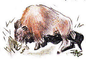 How to Use Past Tense, Present Tense, and Future Tense in Novel Writing ...