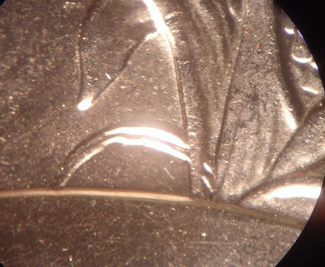 State Quarter Errors List - HobbyLark