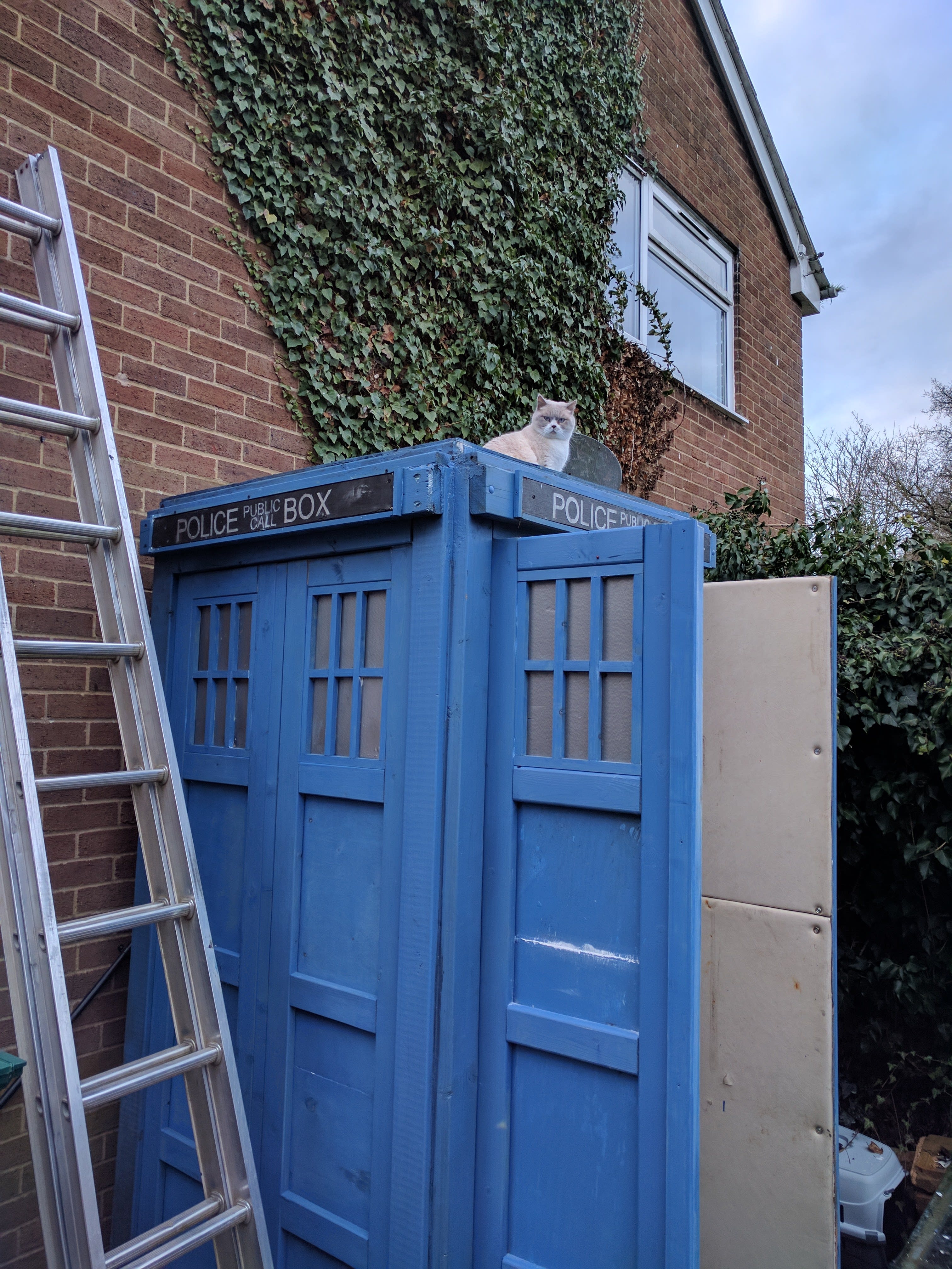 How I Built a TARDIS Shed - HobbyLark