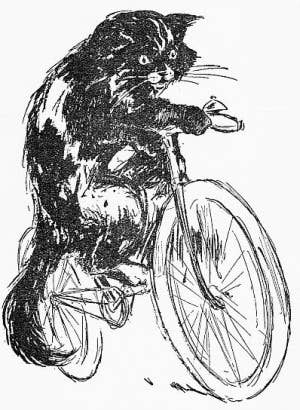 How to Write an Animal Character for a Fiction Story - HobbyLark