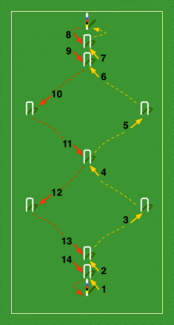 How to Set Up a Croquet Court in Your Backyard - HobbyLark